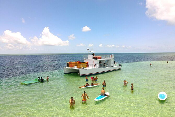 All-Inclusive Sandbar Safari with Dolphin Playground Encounter - An In-Depth Look at the Tour Experience