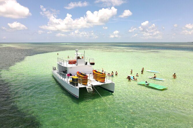 All-Inclusive Sandbar Safari with Dolphin Playground Encounter - The Sum Up
