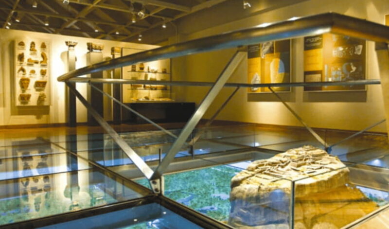 All-inclusive Sigiriya Fortress and Wildlife Safari - The Sum Up