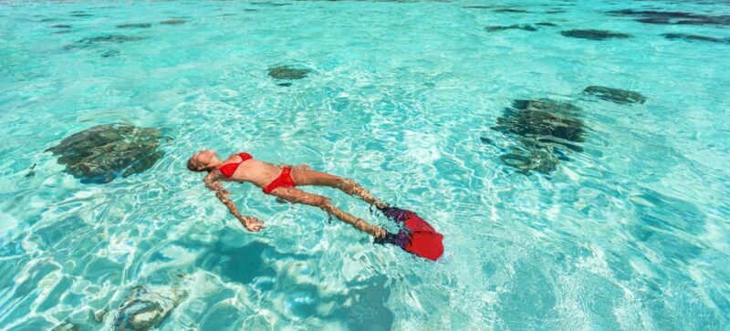 All-inclusive Snorkel in Balandras Hidden beaches, La Paz - Who Will Appreciate This Tour?