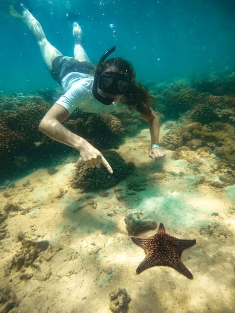 All-inclusive Snorkel in Balandras Hidden beaches, La Paz - Final Thoughts