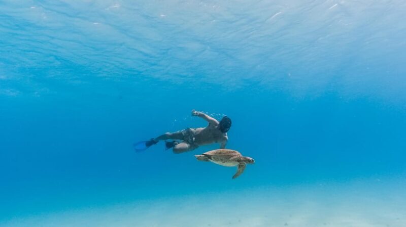 All-inclusive Snorkel in Balandras Hidden beaches, La Paz - FAQs
