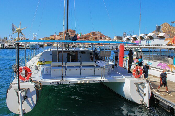 All Inclusive: snorkeling, boat tour, food and drinks! - Considering the Value