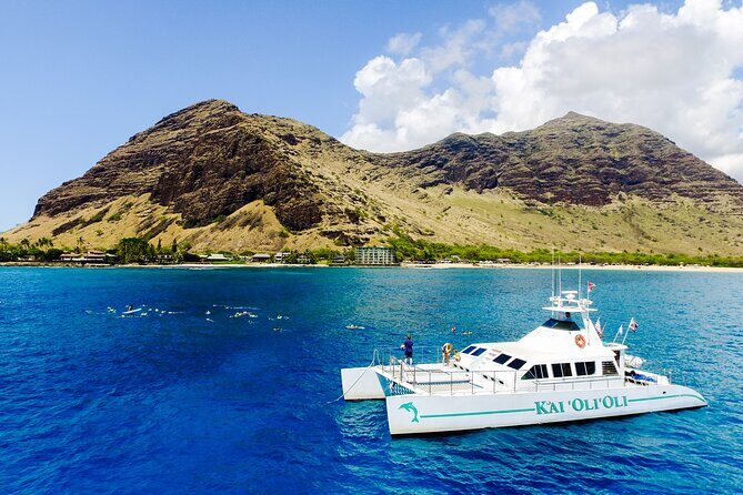 All-Inclusive Sunset Dolphin Watch and Snorkeling Cruise - Authentic Experiences and Passenger Feedback
