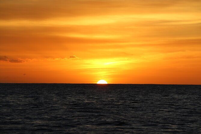 All-Inclusive Sunset Dolphin Watch and Snorkeling Cruise - Analyzing Value for Money