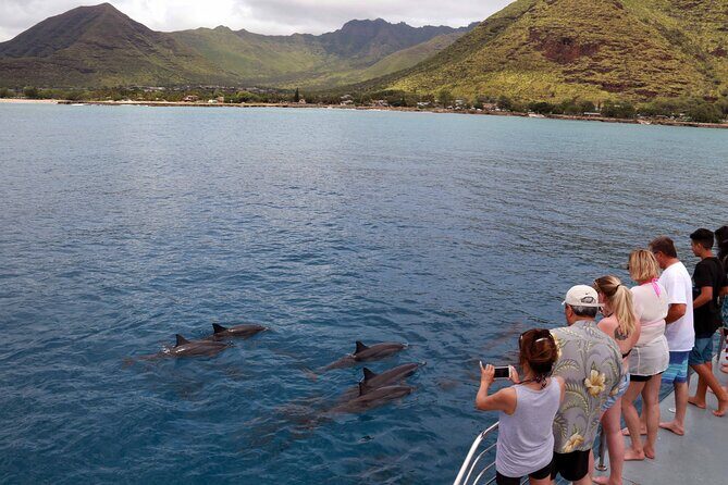 All-Inclusive Sunset Dolphin Watch and Snorkeling Cruise - The Sum Up