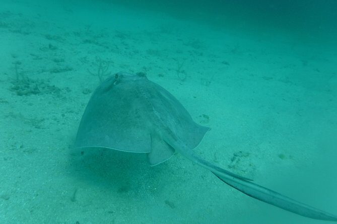 All-Inclusive Sunset Sail - Semi Private - Only 6 Guests - Pricing & Value