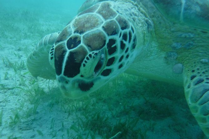 All-Inclusive Sunset Sail - Semi Private - Only 6 Guests - The Sum Up