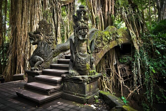 All Inclusive Swing, Zipline, Rice Terrace, Temple and Waterfall - The Sum Up