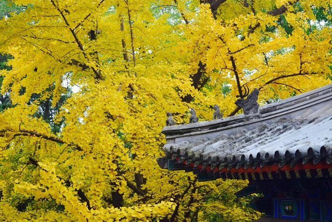 All Inclusive Tour to Fragrant Hills Park and Summer Palace - Who Will Love This Tour?