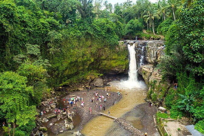 All-Inclusive Ubud Bali Private Full-Day Tour - What’s Included and What You Should Know