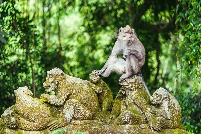 All-Inclusive Ubud Bali Private Full-Day Tour - Summary