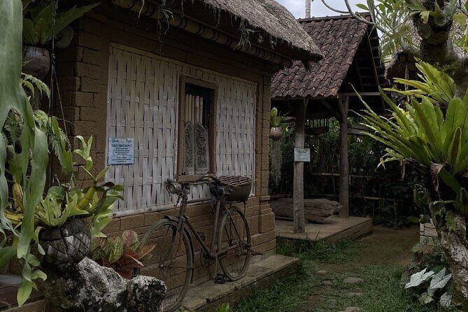 All Inclusive Ubud Cultural and Natural Highlights Tour - Who Will Love This Tour?