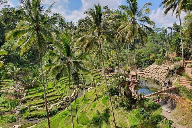 All Inclusive Ubud Experience - What You Can Expect from This Tour