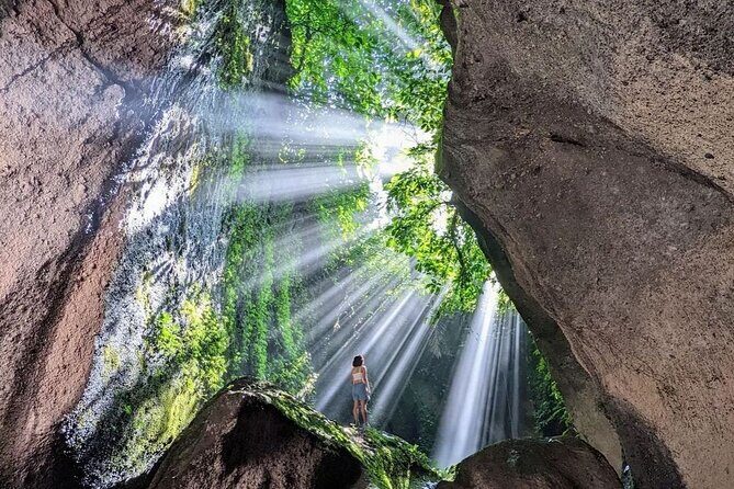 All inclusive Ubud private tour - Exploring the Sacred Monkey Forest Sanctuary