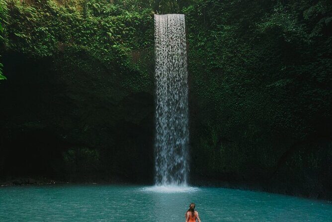 All inclusive Ubud private tour - Practical Details and Overall Value