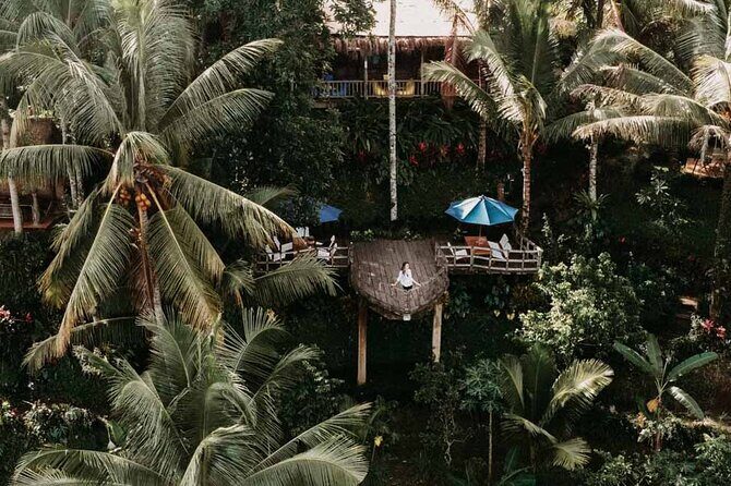 All-Inclusive Ubud Private Tour with Hotel Transfer - Authentic Experiences and Personal Touches