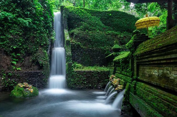 All inclusive - Ubud Tour, Waterfall, Temple And Jungle Swing - Final Thoughts