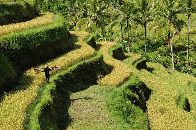 All-Inclusive Ubud's Wonder Day Tour - The Sum Up