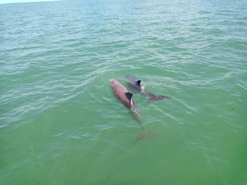 All inclusive Visit to Holbox Island - FAQ