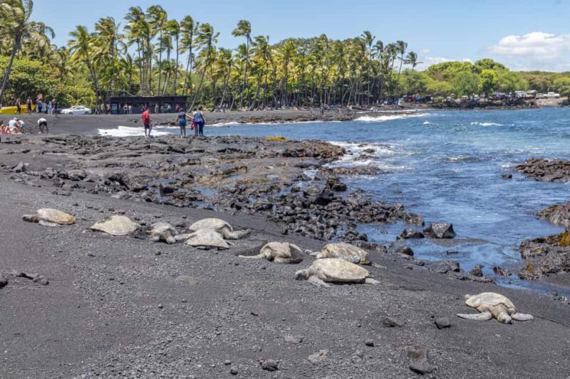 All-Inclusive: Volcanoes, Lava Tube & Black Sand Beach Tour - First Stop: Punaluu Bakery and Black Sand Beach