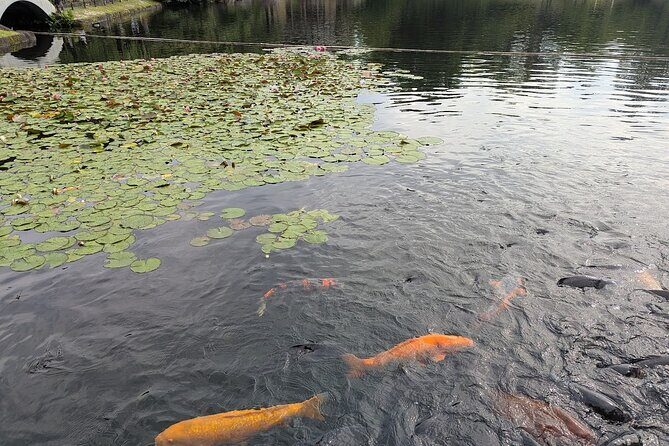 All-Inclusive Walking Tour of Nagoya: Discover it All! - The Value of the Experience