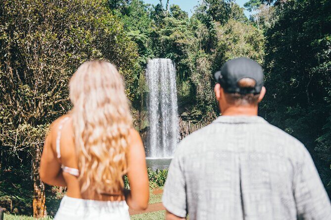 All Inclusive Waterfalls and Rainforest Tour from Cairns - Discovering the Region Through a Well-Curated Itinerary