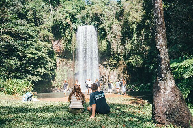 All Inclusive Waterfalls and Rainforest Tour from Cairns - Who Will Love This Tour?