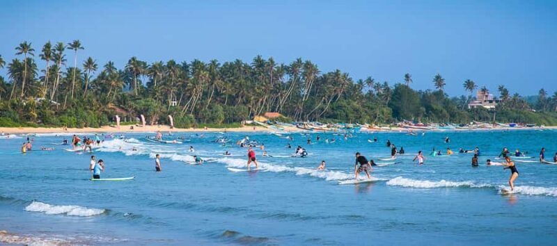 All Inclusive Weligama Bay Private Surf Lesson with Transfer - Authentic Voices and Feedback