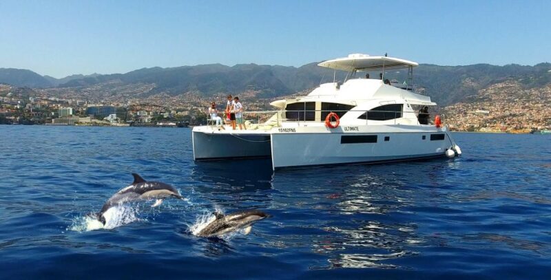 All Inclusive Whale and Dolphin Watching Luxury Tour - What to Expect: The Itinerary in Detail