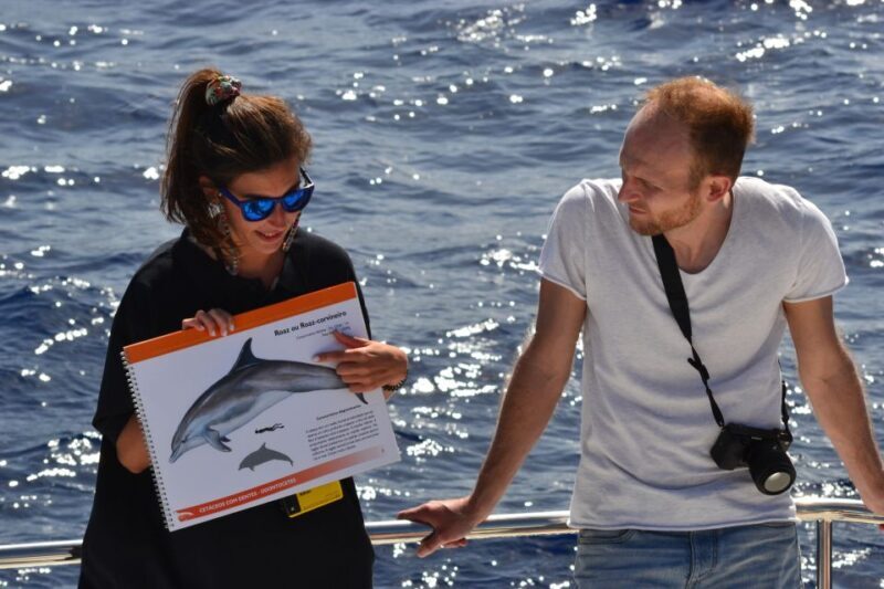 All Inclusive Whale and Dolphin Watching Luxury Tour - Who Is This Tour Best For?