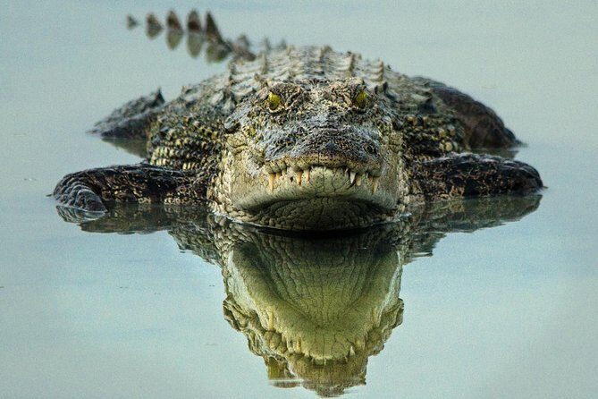 All Inclusive Wilpattu National Park Day Tour From Anuradhapura - What Reviews Reveal About the Experience