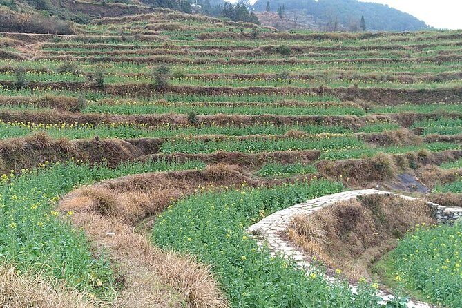 All inclusive Wuyuan Huangling&Likeng village 1 day private tour-No shopping - Who Might Want to Consider Alternatives?