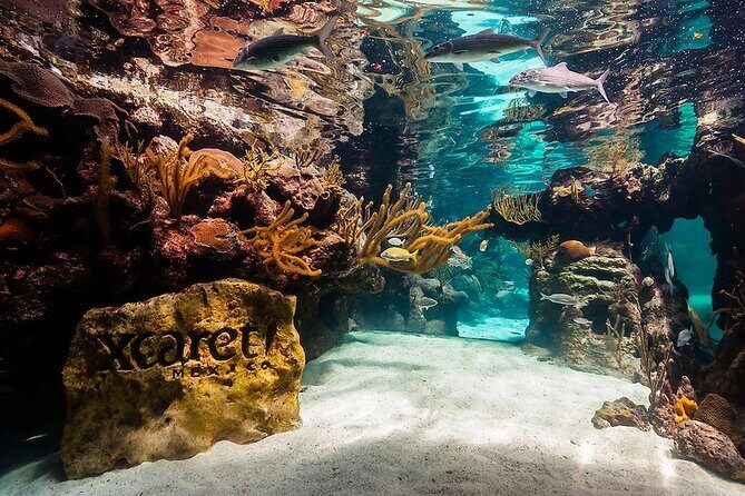 All-inclusive Xcaret Park with Transportation from Cancun & Playa Del Carmen - Usefulness of the All-Inclusive Package