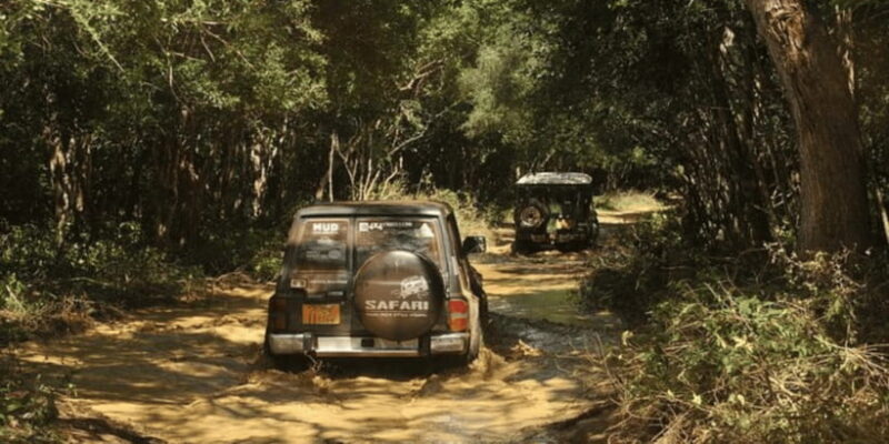 All-Inclusive Yala Safari Adventure and Beachside BBQ - The Dinner: A 4-Course Barbecue with Fine Wine