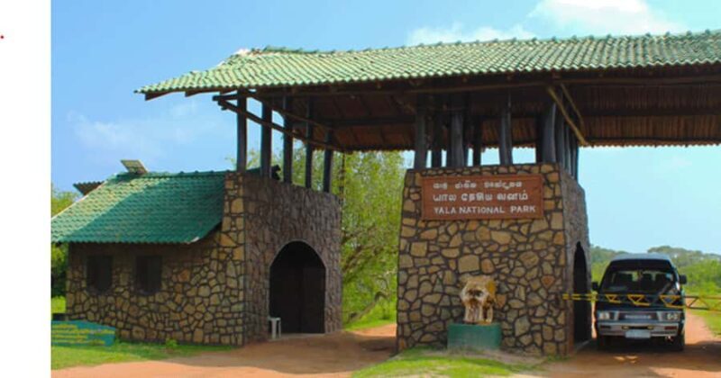 All-inclusive Yala Safari Tour and Kirinda Beach - A Closer Look at the Tour Experience