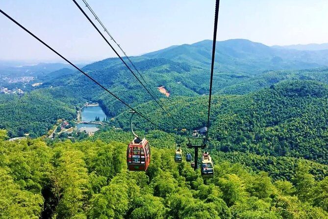 All Inclusive Yixing Bamboo Forest Private Day Tour from Shanghai - Key Points