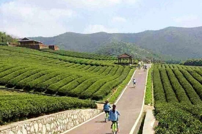 All Inclusive Yixing Bamboo Forest Private Day Tour from Shanghai - FAQ