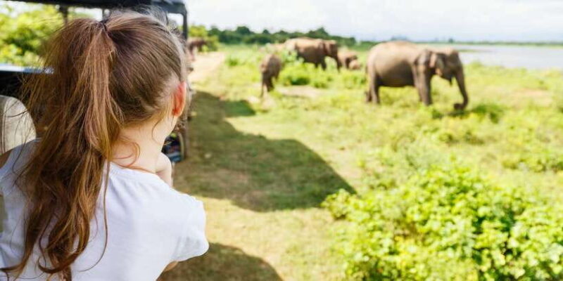 All inclussive Udawalawa National Park Safari From Colombo - An Honest Look at the Udawalawa National Park Safari from Colombo