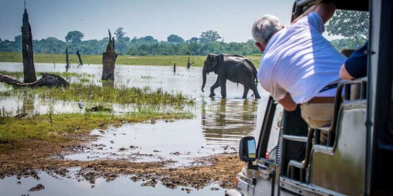 All inclussive Udawalawa National Park Safari From Colombo - Who Should Consider This Tour?