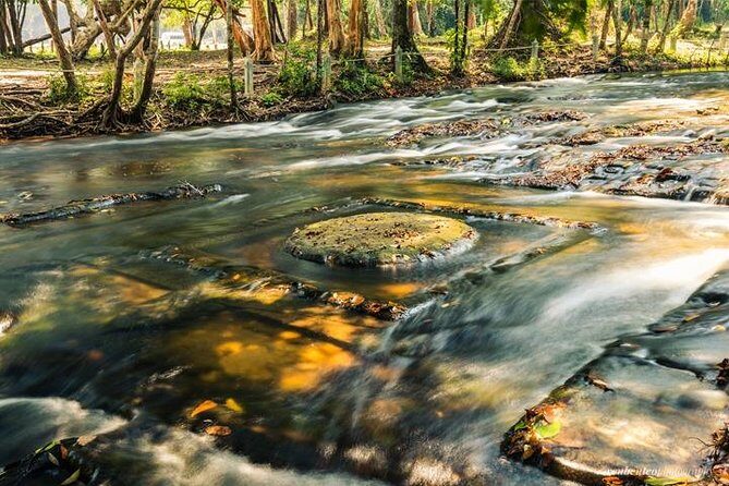 All Major Temples and Kulen Mountant Waterfall in 3 Days - Day 3: Sunrise and Hidden Treasures in the Jungle