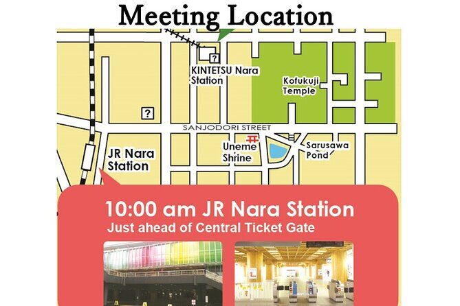 All must-sees in 3 hours - Nara Park Classic Tour! From JR Nara! - Insights from Reviews: What Travelers Love