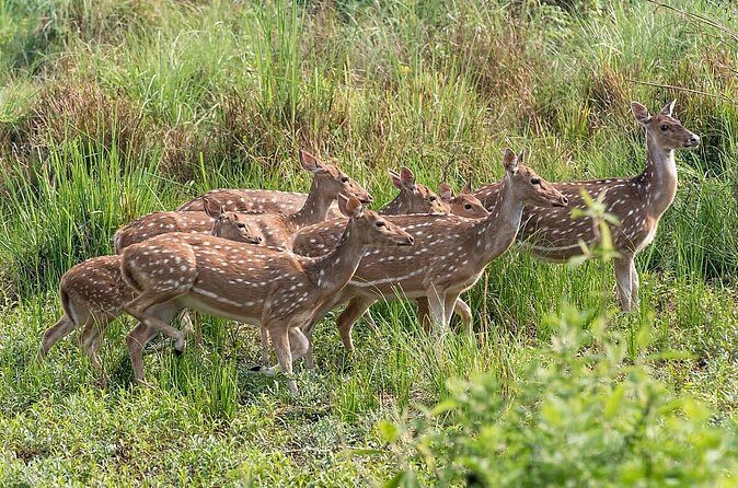 All Nepal Tour - Final Thoughts