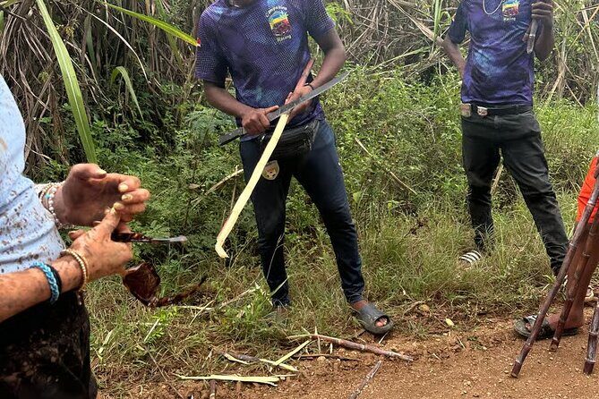 All Terrain Buggy Adventure in Bayahibe - Practical Details: What To Keep in Mind