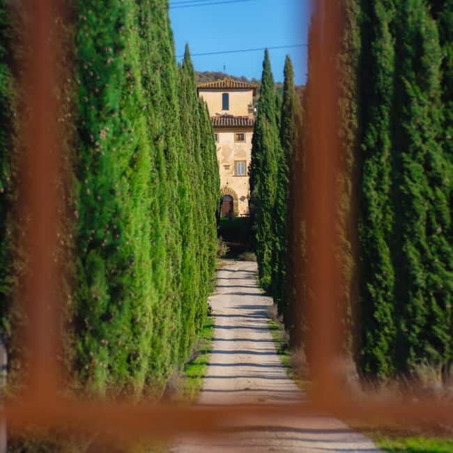 All Tuscany Wine Tour - A Closer Look at the Experience