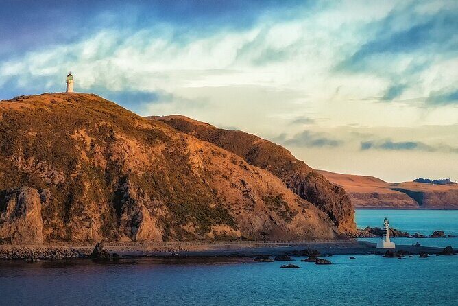 All Who Wander Wellington Are Not Lost - Island Bay: A Coastal Oasis