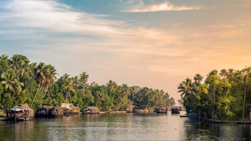 Alleppey Backwaters Delight: Private Houseboat Day Trip - What Makes This Tour Special?