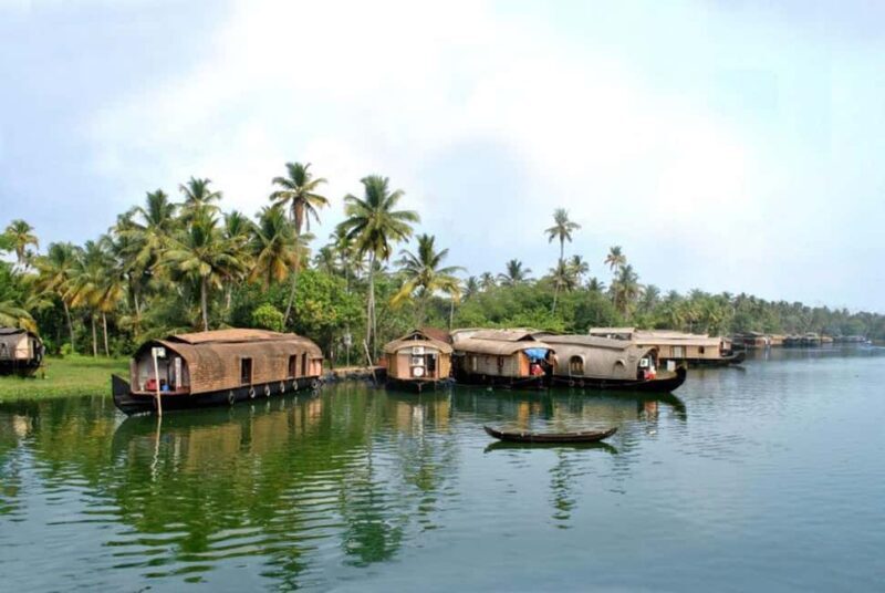 Alleppey Backwaters Delight: Private Houseboat Day Trip - Who Should Consider This Tour?