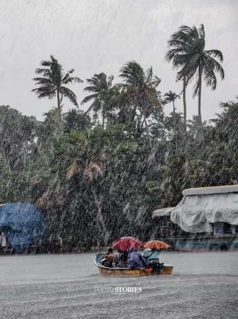 Alleppey: Kayaking and Shikkara Boat Tour with Local Meal - Key Points