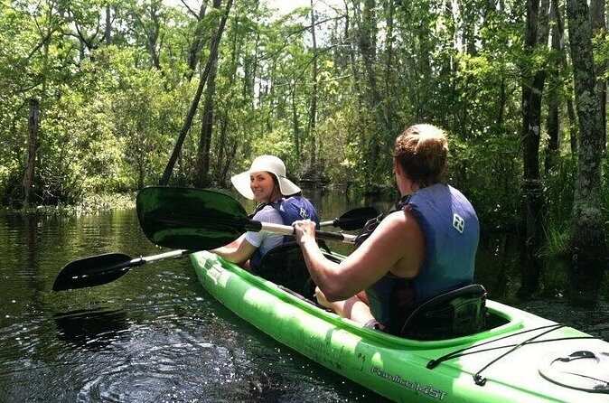 Alligator River Kayak Adventure - The Sum Up: Who Should Consider This Tour?